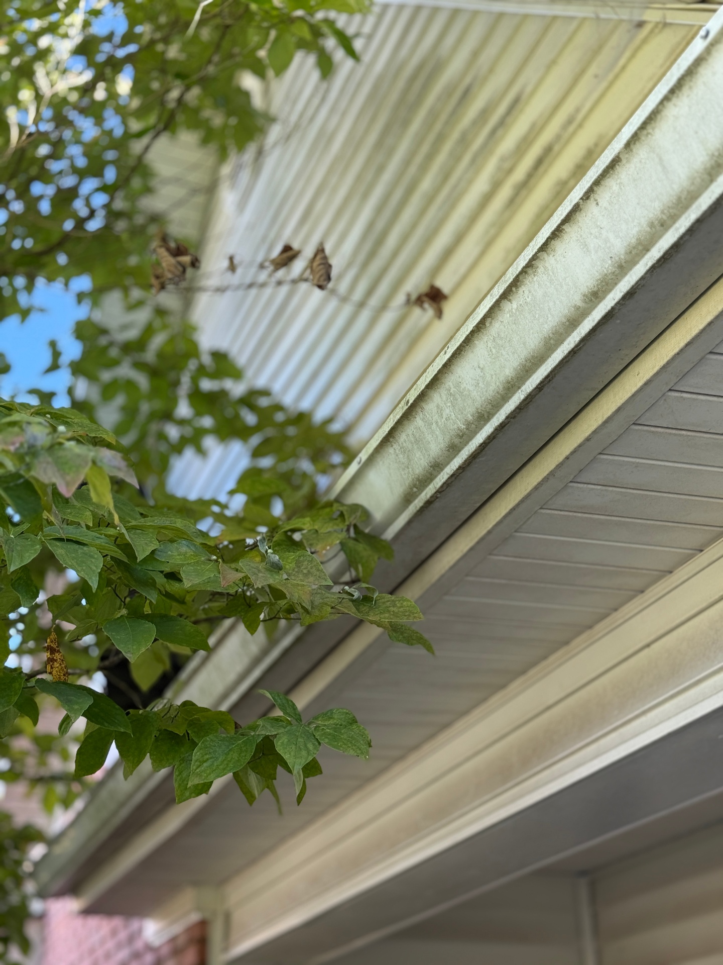 Roof Soft Washing Atlanta | Proline Pressure Washing